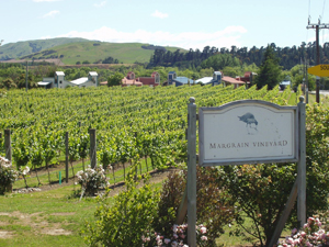 Margrain Vineyard celebrates 21 years - Martinborough Star
