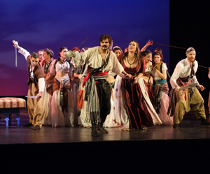 An Afternoon of Gorgeous Opera - Martinborough Star