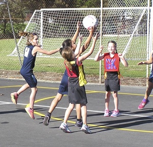Southern netball - Martinborough Star