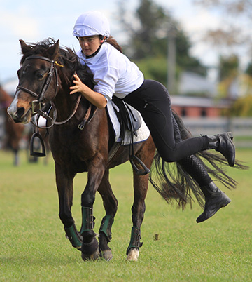 Pony Club enjoys a successful season. - Martinborough Star